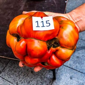 Tomate feo de Tudela. Descubre todo lo que quieras saber sobre el.