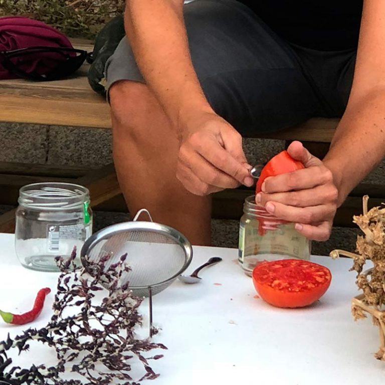 Tomate feo de Tudela. Descubre todo lo que quieras saber sobre el.